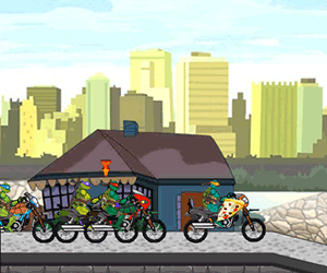 Turtles Racing - New