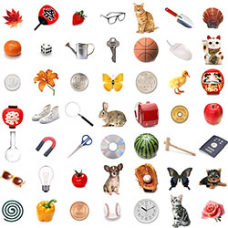 The Short Term Memory Checker - Free Online Games