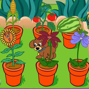 Dora'S Magical Garden - Fun