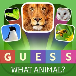 Guess What? Animal Quiz - Popular Animals In The World - Word