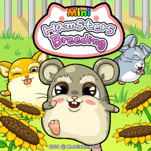Hamster Simulator - Free Online Games